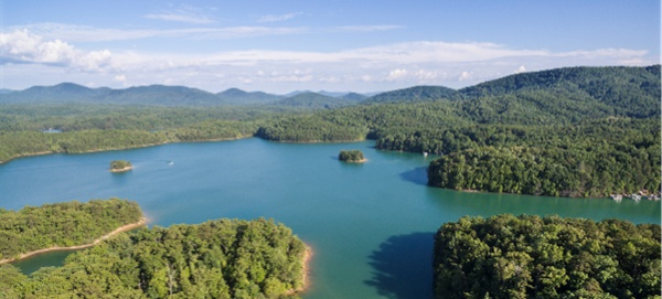 Why Become a Member? - LBRCA