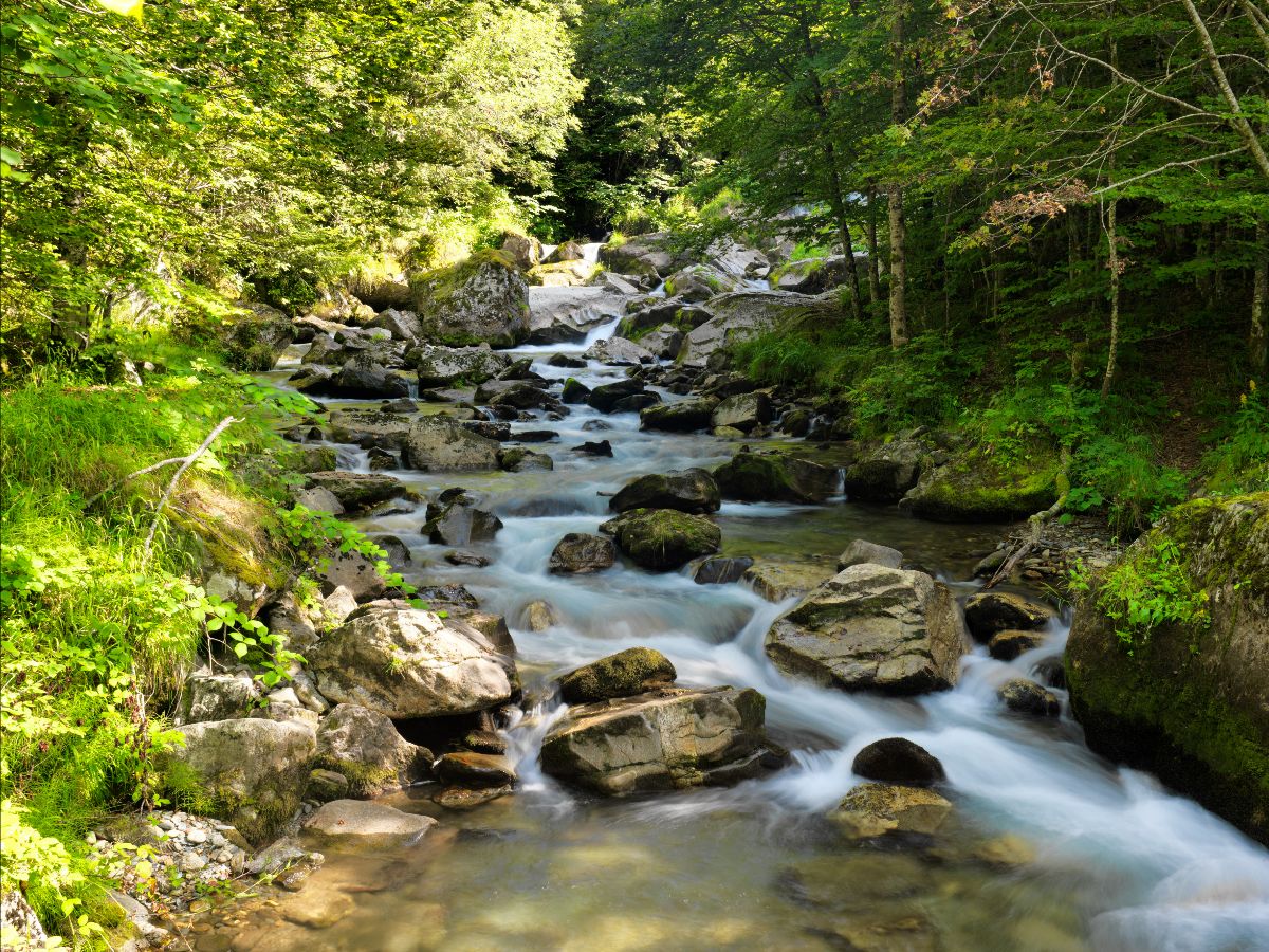 LBRCA - Lake Blue Ridge Civic Association